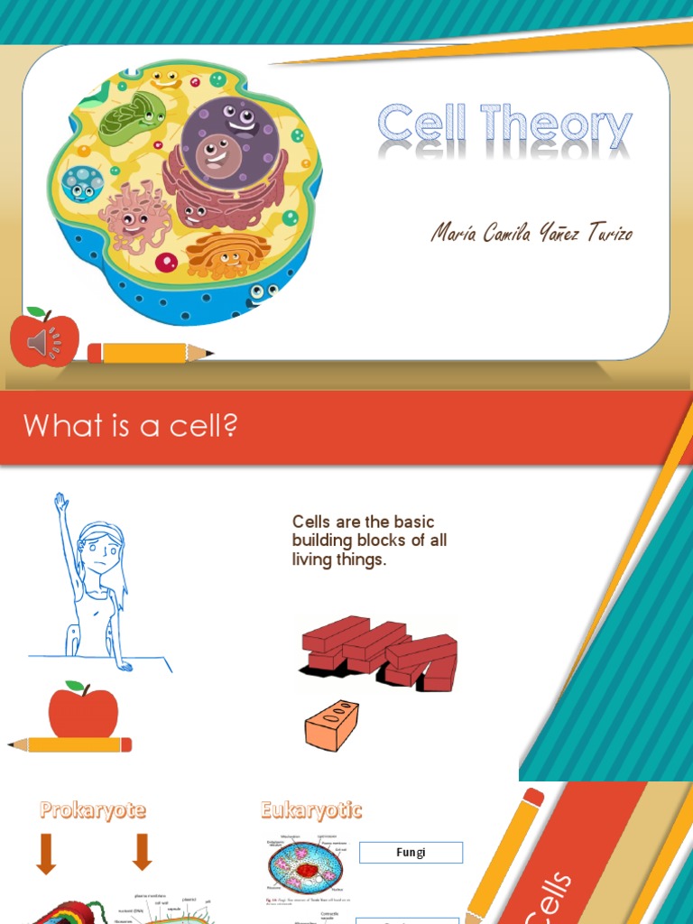 Cell Theory | PDF | Eukaryotes | Cell (Biology)