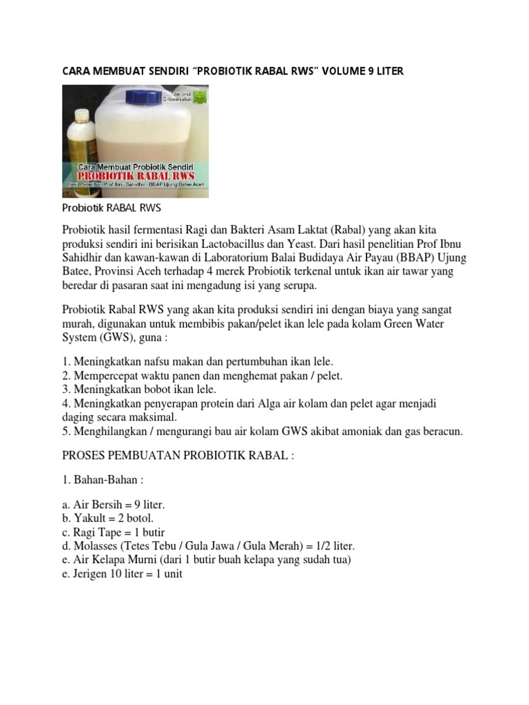 Cara Membuat Sendiri Probiotik Rabal | PDF