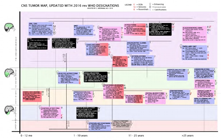 CNS Tumor Map | PDF