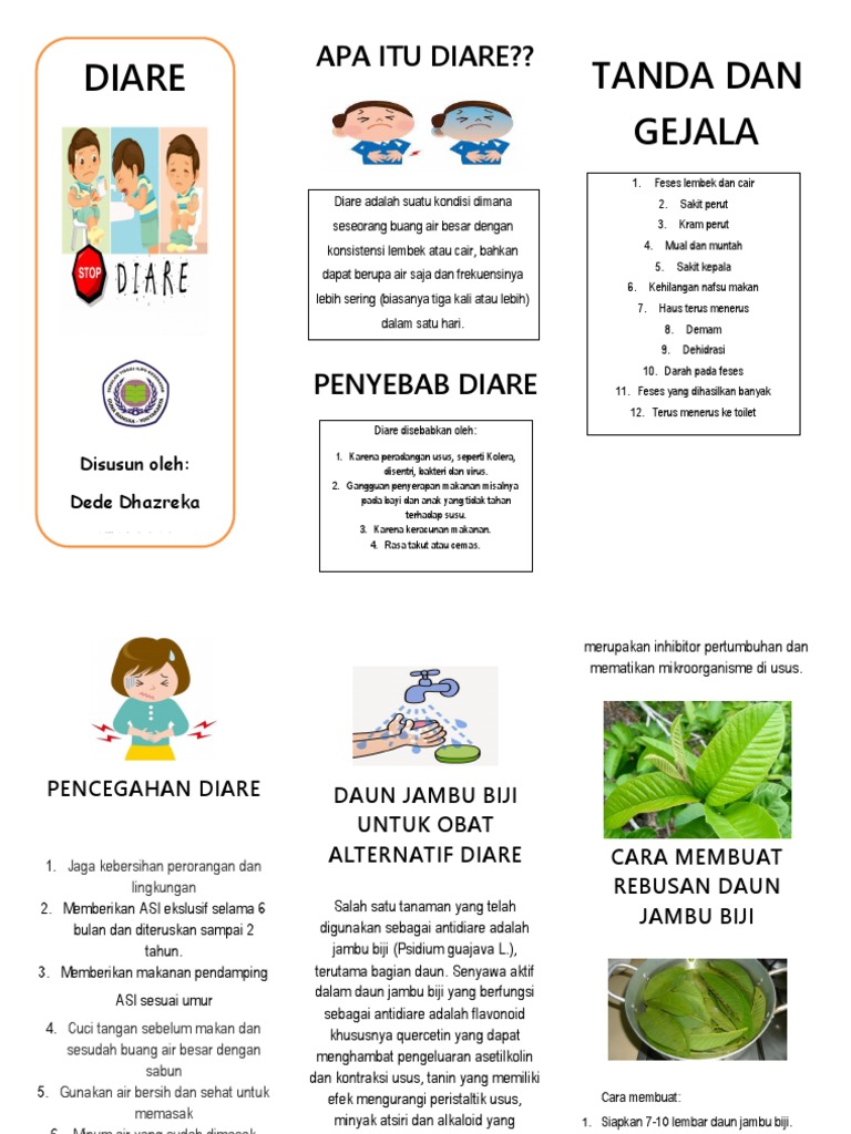 Leaflet Diare | PDF