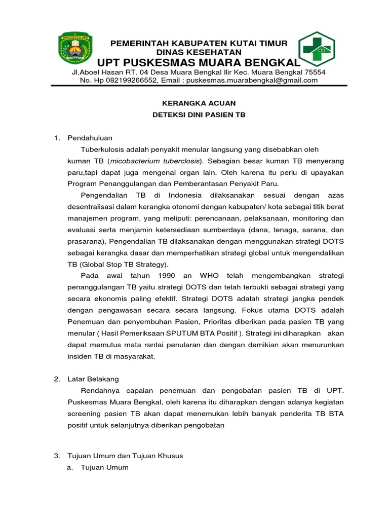 KAK Deteksi Dini Pasien TB | PDF