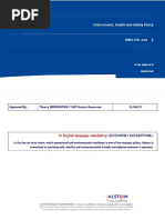 Environmental and Social Management System (ESMS) Implementation ...