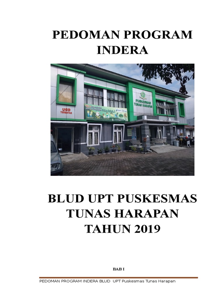 Pedoman Kesehatan Indera 2019 | PDF | Pengembangan Diri | Kesehatan Holistik
