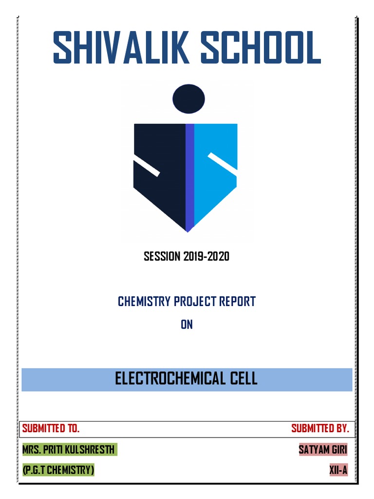 Chemistry Project On Electrochemical Cell | PDF | Redox | Electrochemistry