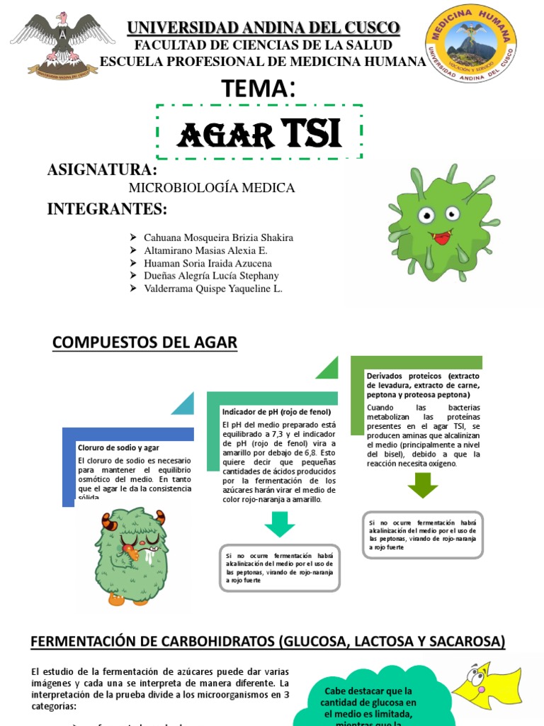 Micro Tsi | PDF | Carbohidratos | Sacarosa