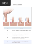 Edema Grading: Grade 1+ | PDF
