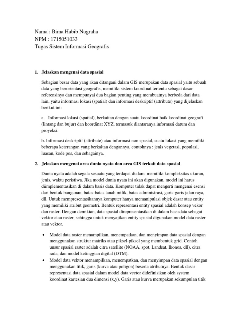 Jelaskan Mengenai Data Spasial | PDF