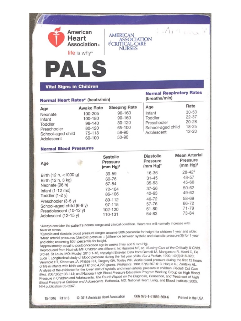 Pals Booklet | PDF