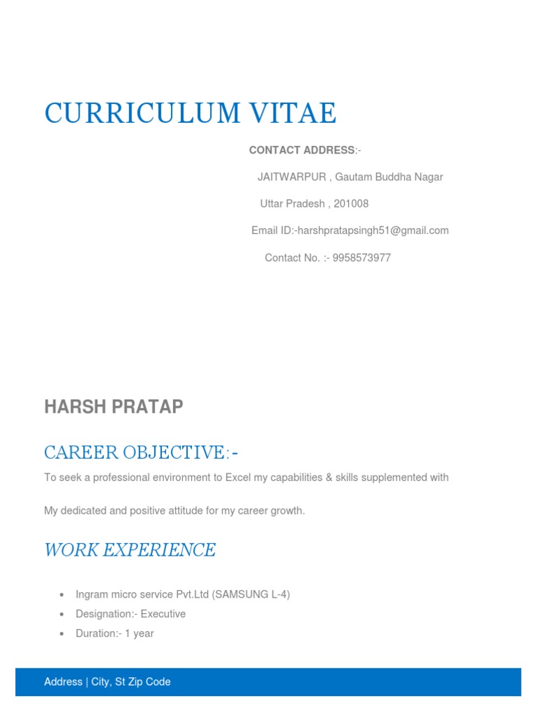 Harsh Pratap's Professional CV | PDF