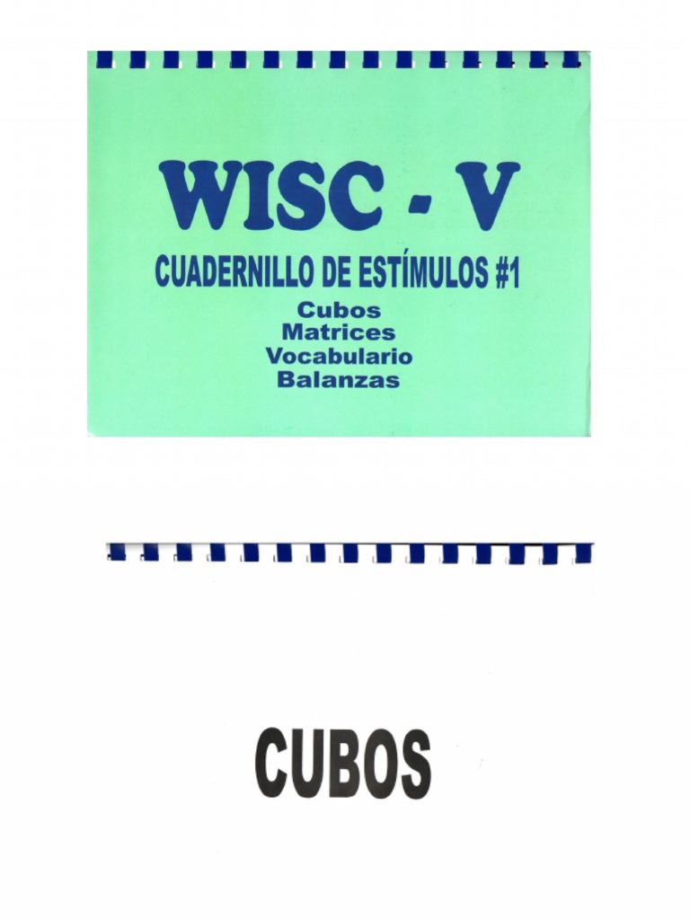 Cubos Wisc V | PDF