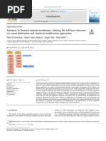 Kks Code | PDF | Nature