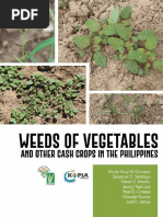 List of Some Common Weeds in The Philippines | PDF | Science & Mathematics
