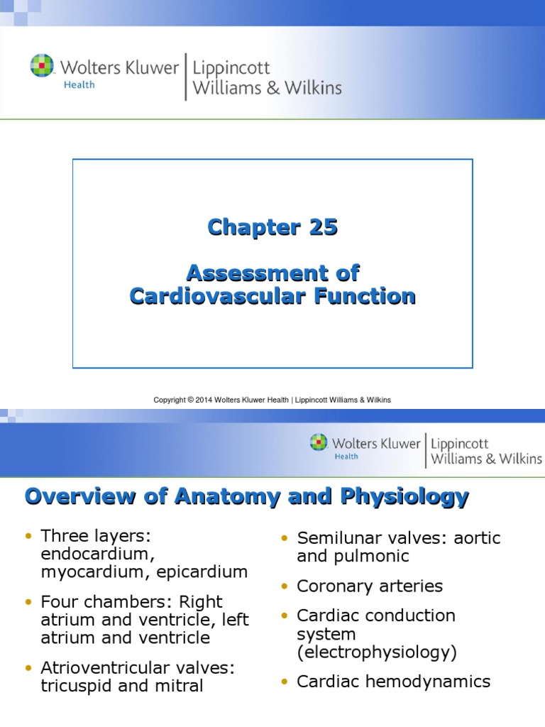 Assessment of Cardiovascular Function | PDF | Heart | Diastole
