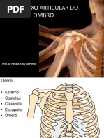 Articulação Do Ombro (Glenoumeral) Anatomia e Músculos Kenhub | PDF ...
