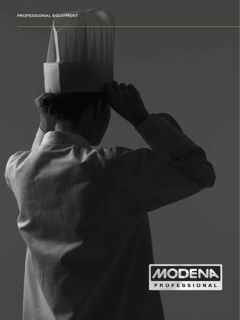 E-Catalogue Brochure Modena Professional | PDF