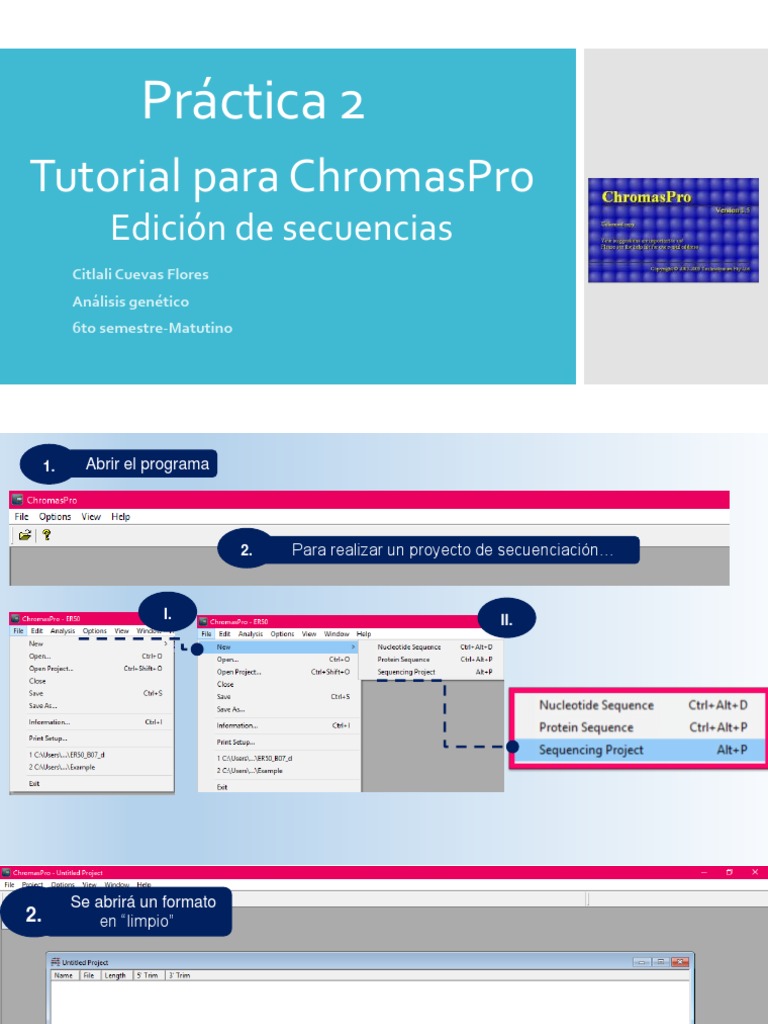 Tutorial para ChromasPro | PDF | Explosión | Point and Click
