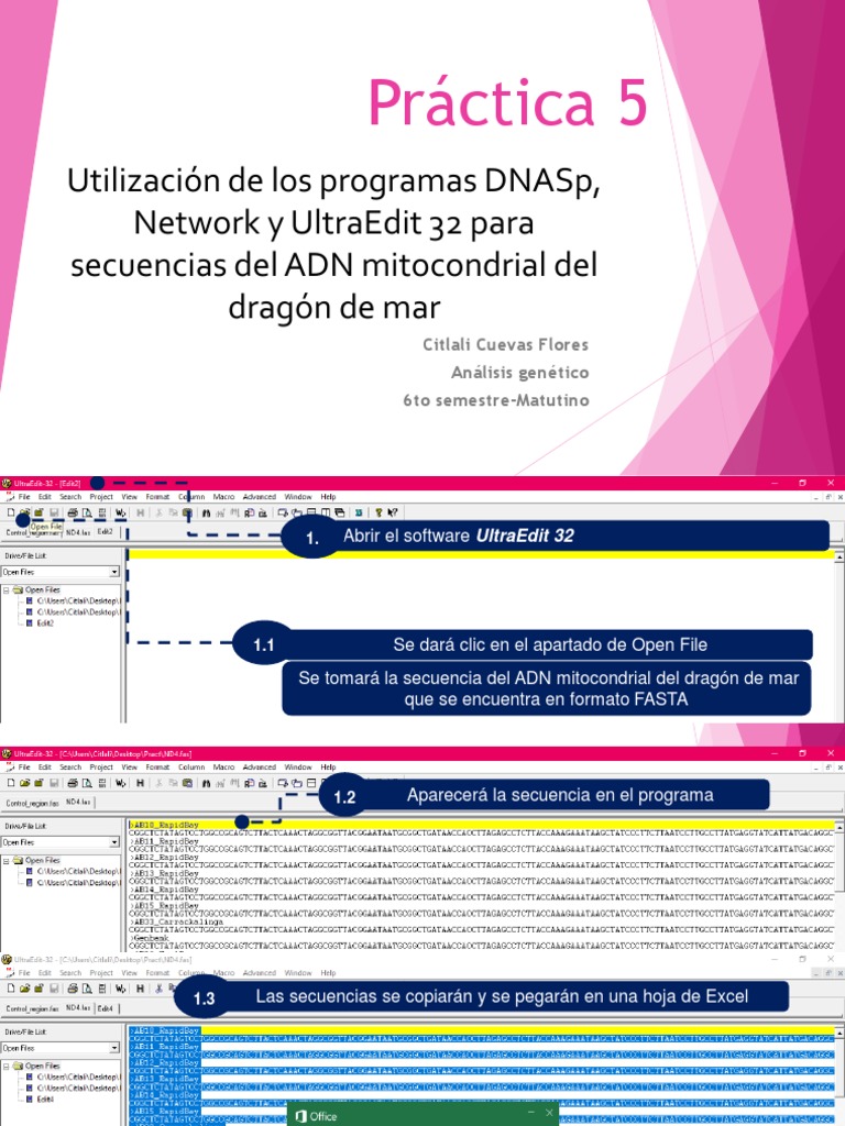 Tutorial DNASp para Secuenciar ADNm | PDF | Point and Click | Biotecnología