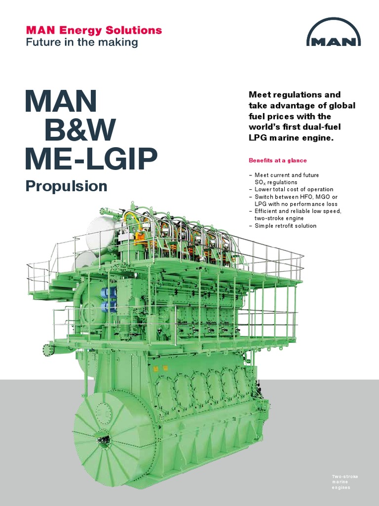 Lgip PDF | PDF | Fuel Injection | Liquefied Petroleum Gas