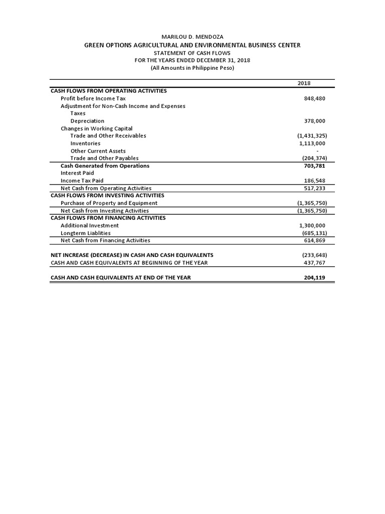 Cash Flow (Green Option) | PDF