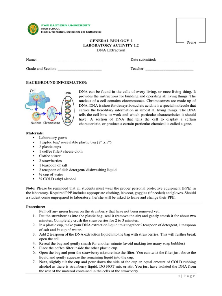 Lab Activity 1.2 - DNA Extraction-1 | PDF | Dna | Cell (Biology)