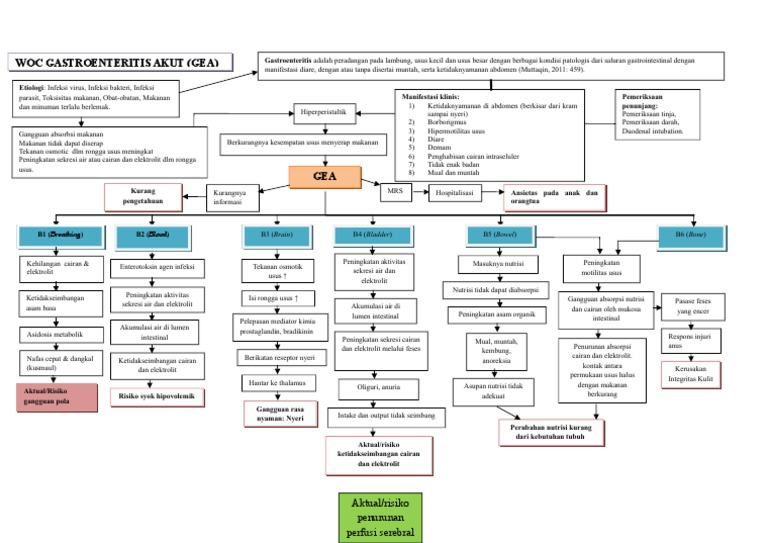 Woc Gastroenteritis Akut (Gea) : Aktual/risiko Penurunan Perfusi ...