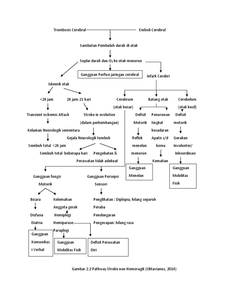 Pathway Stroke | PDF