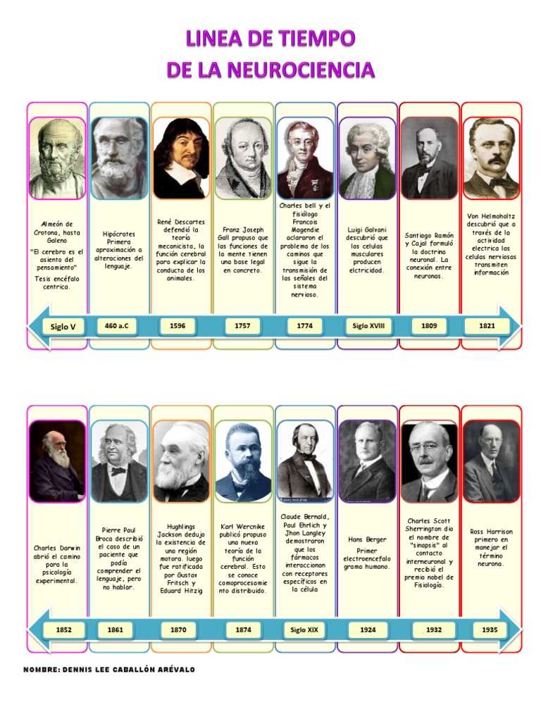 Linea Del Tiempo Neurociencia | PDF | Cerebro | Neurona