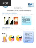 Líneas de Terminación | PDF | Dentadura postiza | Diente