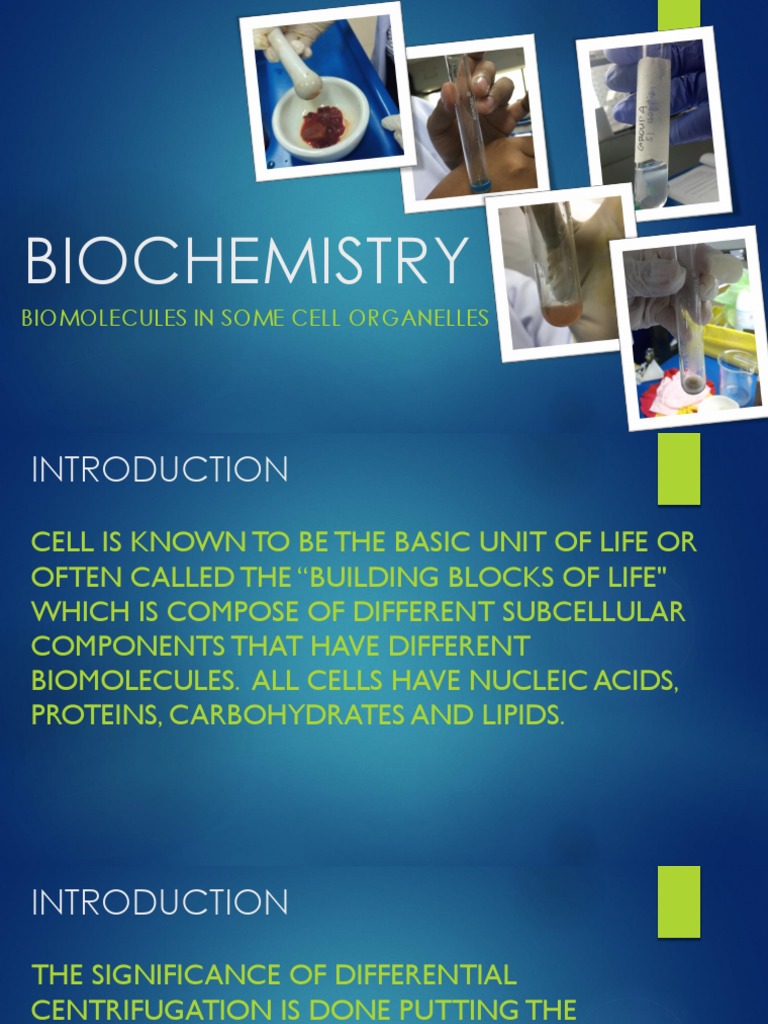 Biochemistry (Biomolecules in Some Cellular Components) | PDF ...