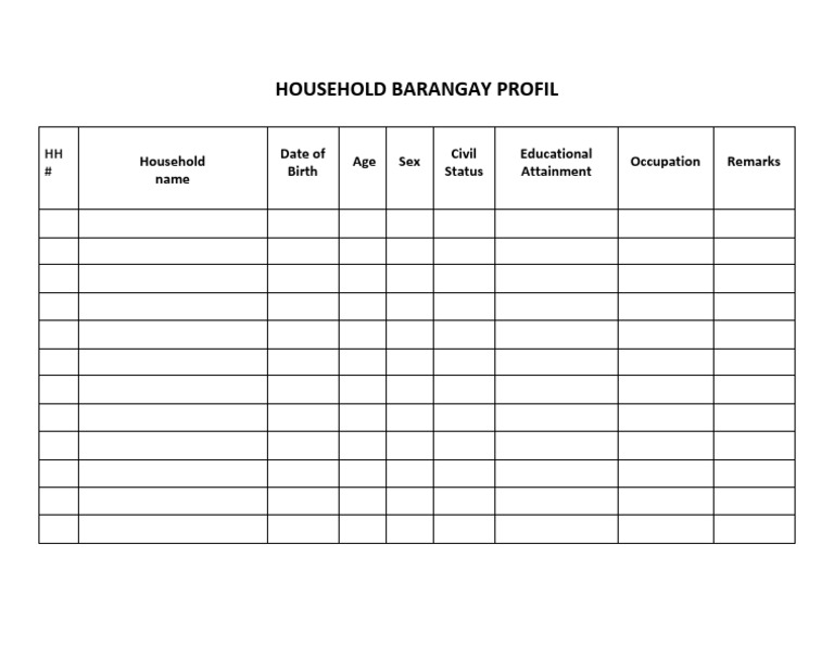 Household Barangay Profile | PDF
