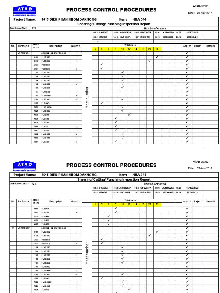 Mau Report | PDF | Chemistry | Physics