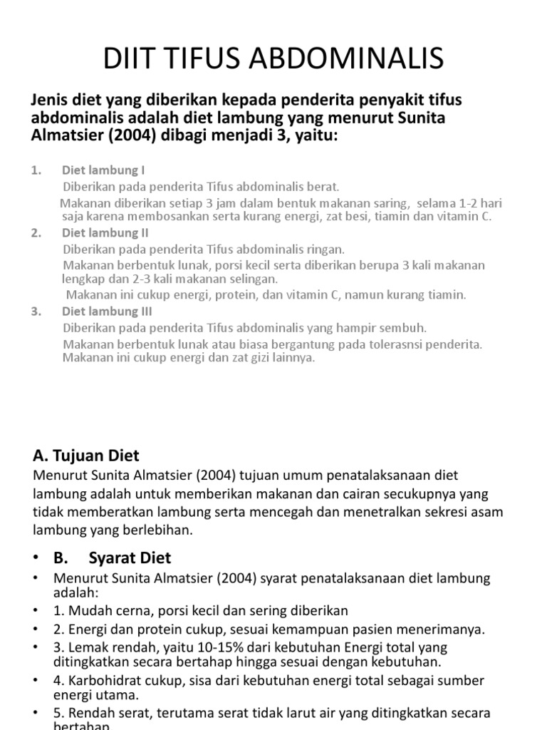 Diit Thypus Abdominalis | PDF