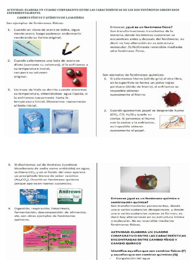 Actividad de Cambios Fisicos y Quimicos | PDF