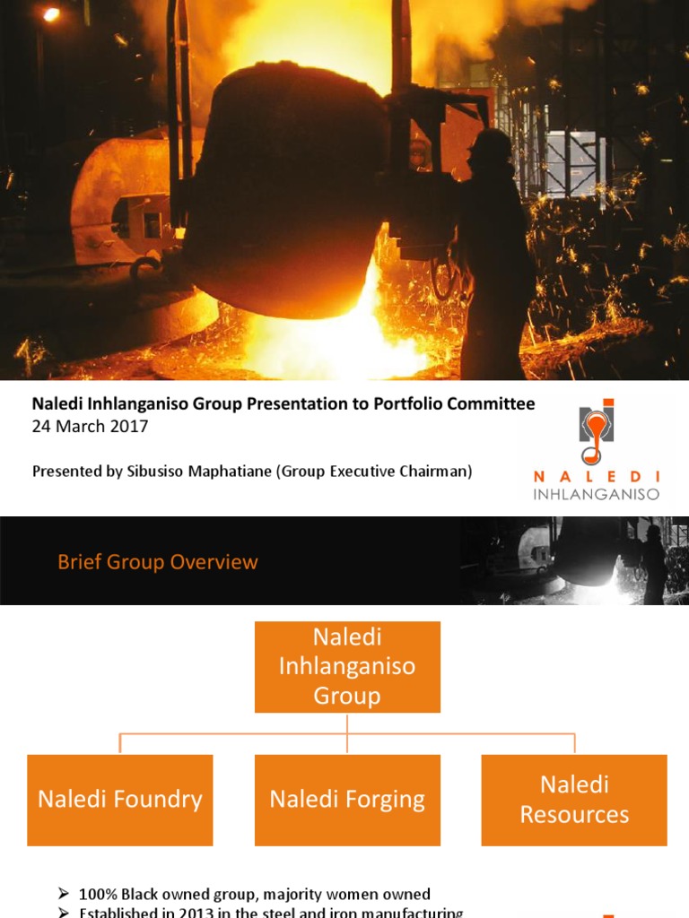 Naledi Inhlanganiso Group Presentation To Portfolio Committee | PDF ...