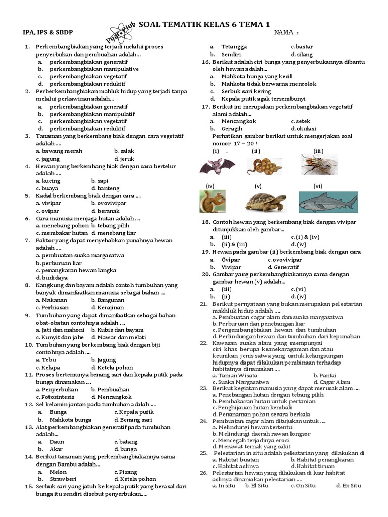 Tema 2 Kelas IPA, IPS Dan SBDP | PDF | Griya & Taman | Teknologi & Rekayasa