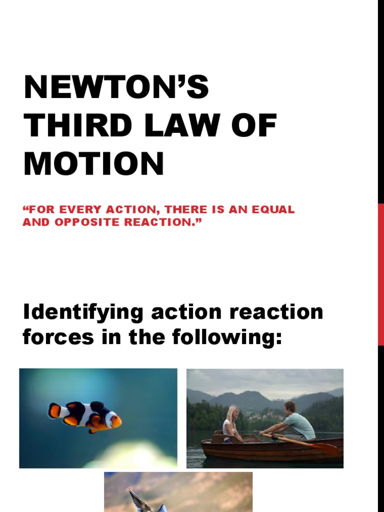 3RD Newtons Law Friction | PDF | Friction | Force
