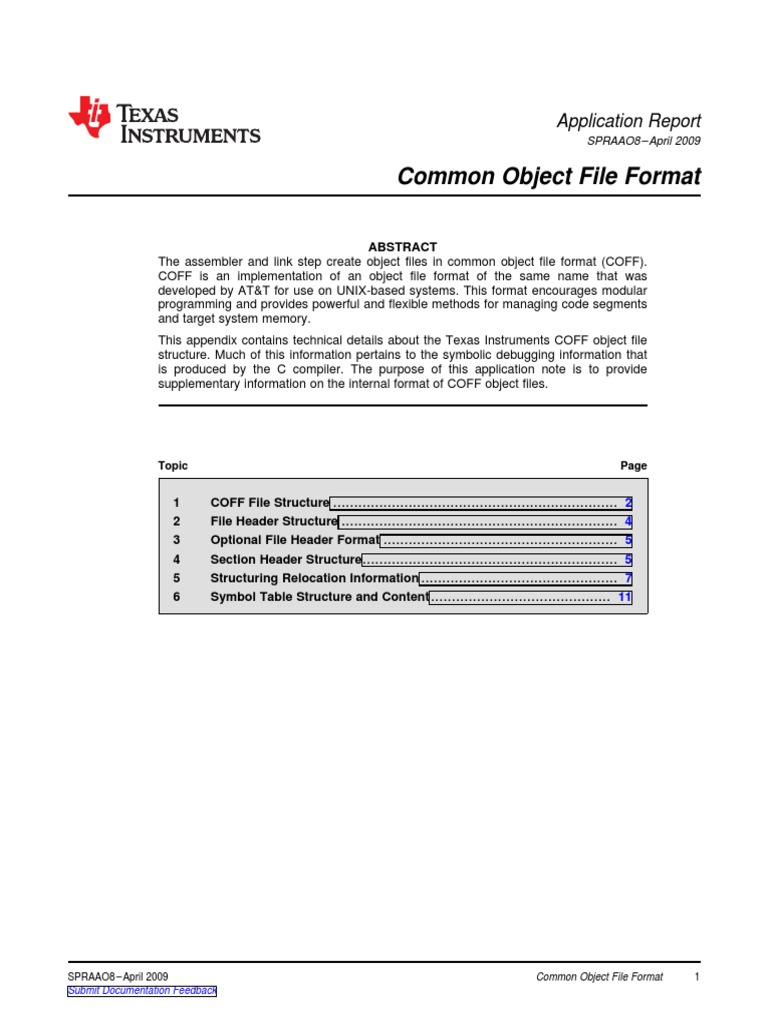 Common Object File Format: Application Report | PDF | Pointer (Computer Programming) | Data Type
