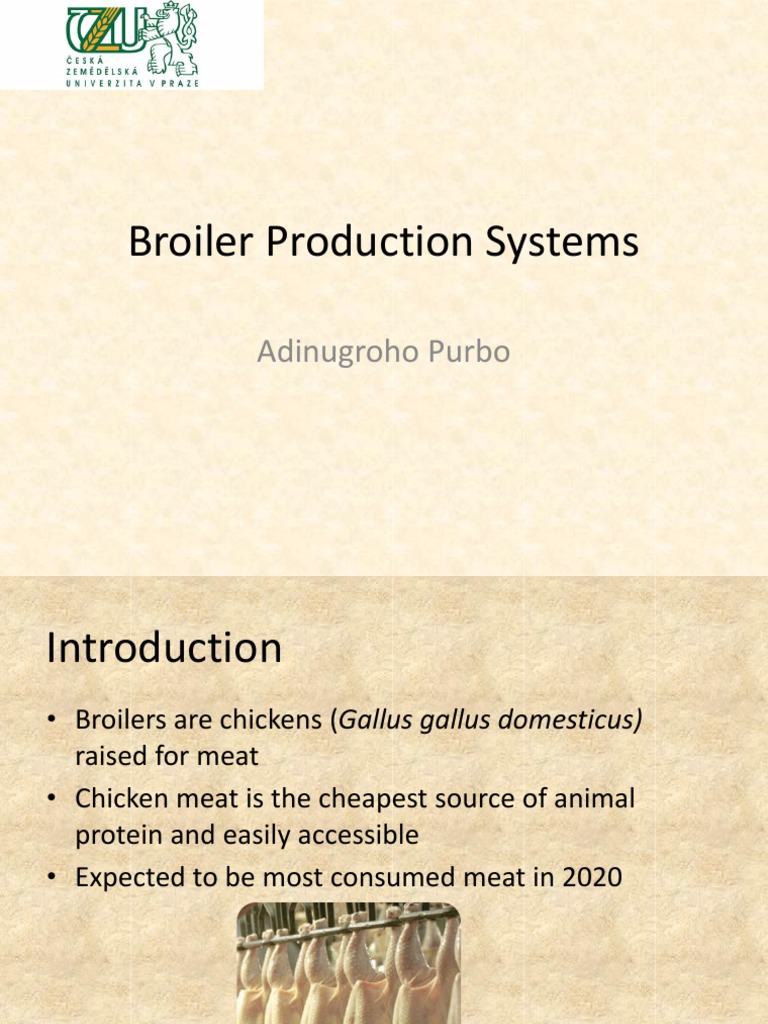 Broiler Production Systems | PDF | Cooking, Food & Wine | Wellness