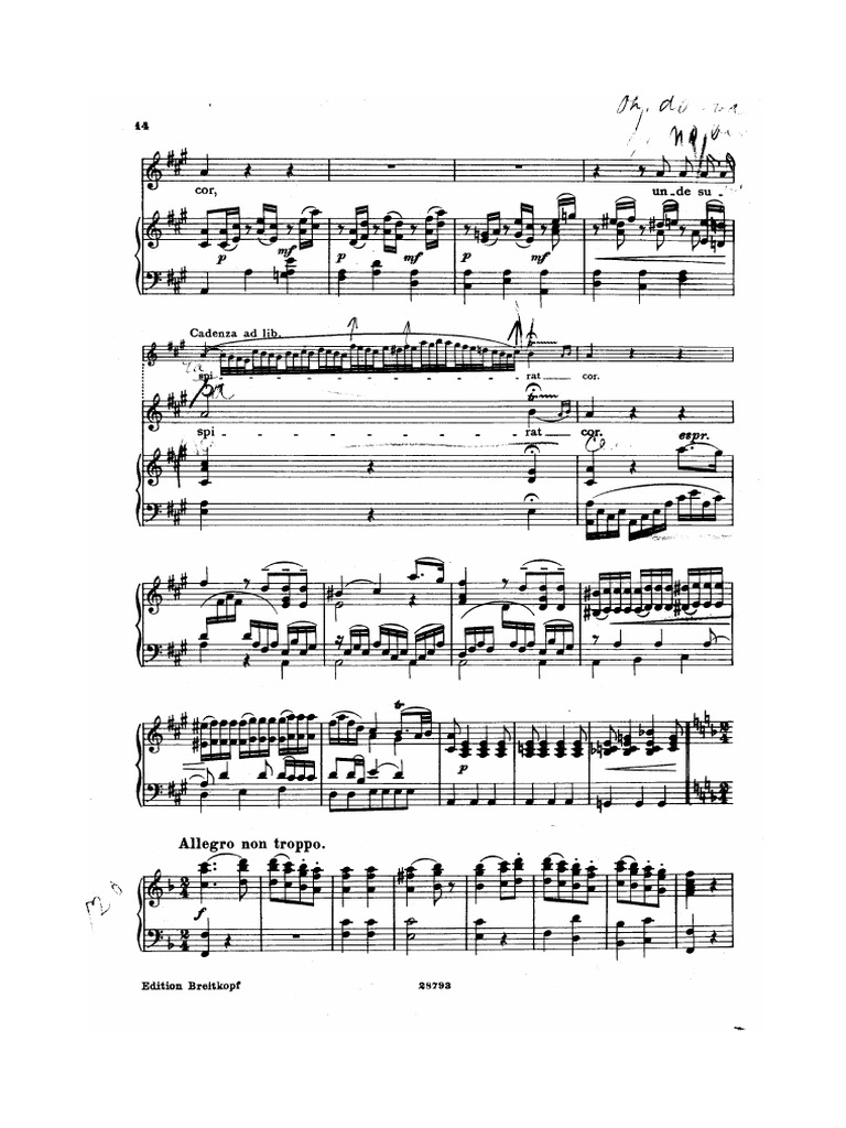 Alleluia, Exsultate Jubilate | PDF