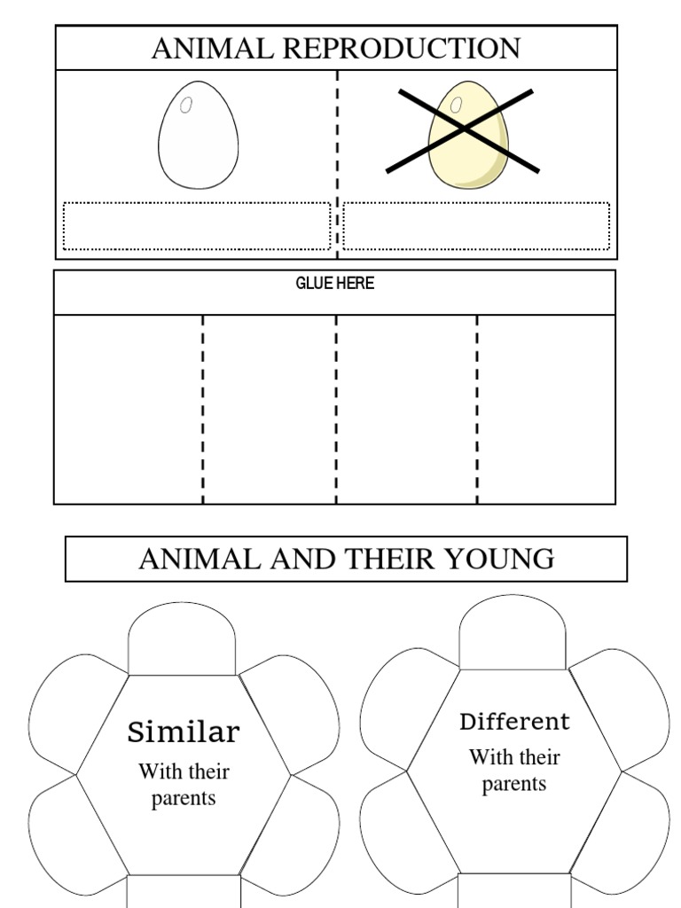 Science Year 2 | PDF