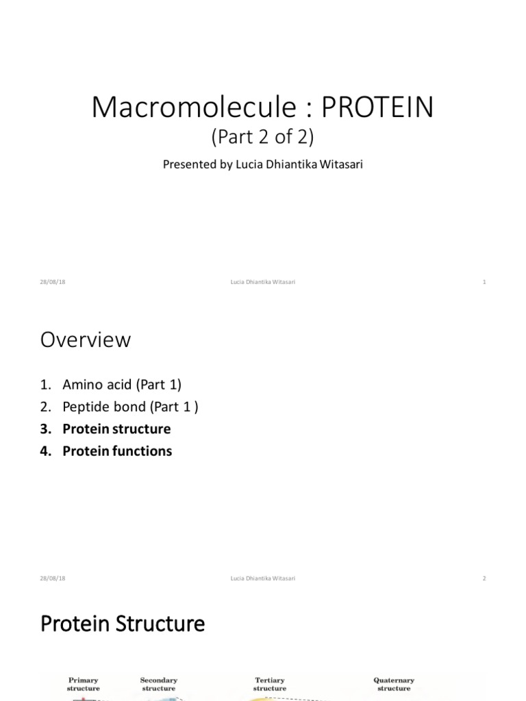 Macromolecule: PROTEIN: (Part 2 of 2) | PDF | Protein Structure ...