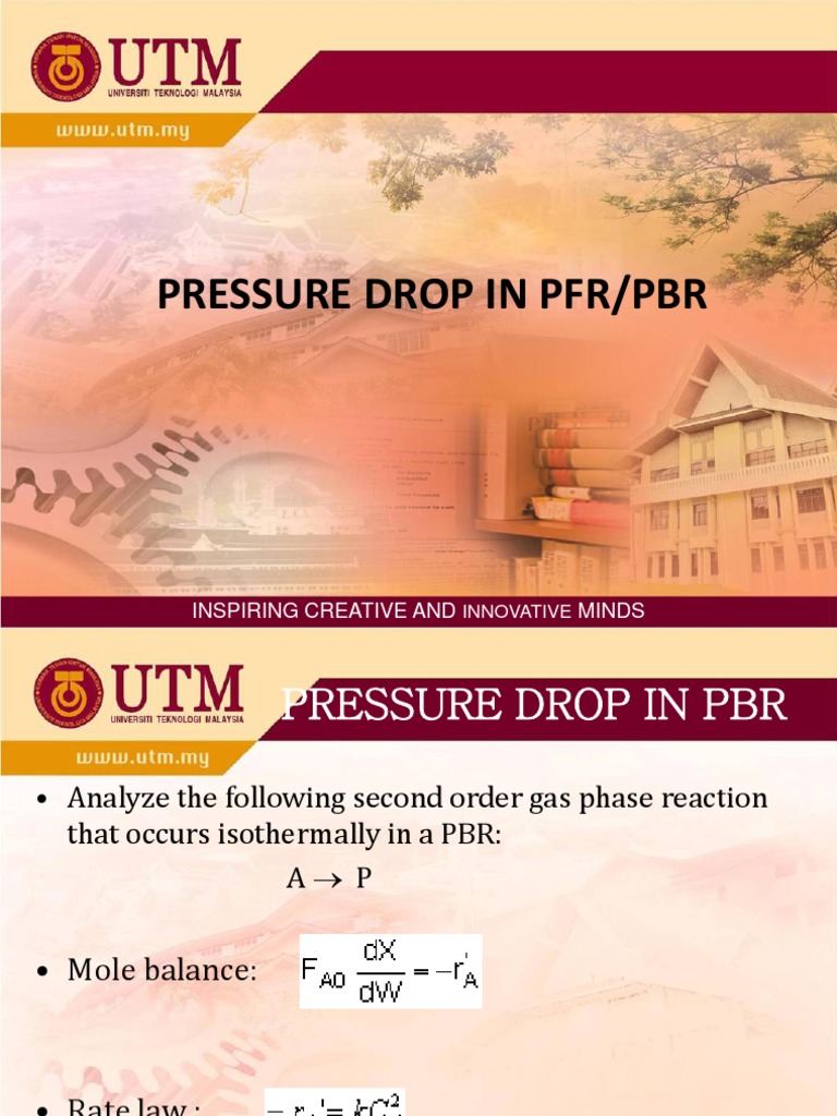 Pressure Drop in PFR/PBR: Inspiring Creative and Minds | PDF ...