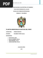 Informe 100 Plantas Medicinales Selva Peruana | PDF