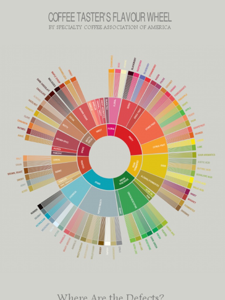 Coffe Taster's Flavour Wheel | PDF