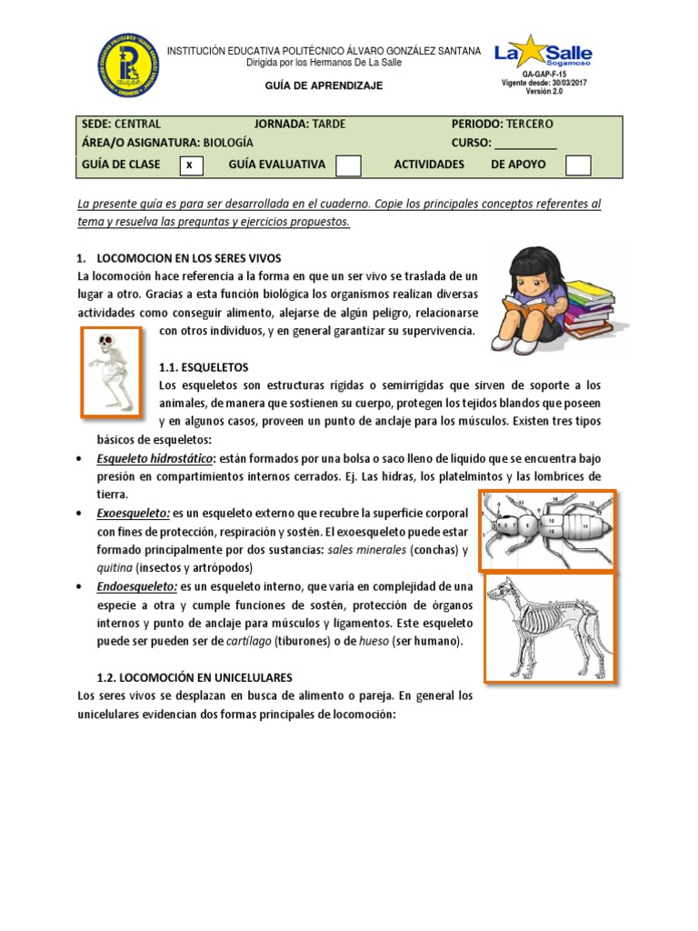 Estructuras y locomoción en seres vivos | PDF | Articulación | Esqueleto