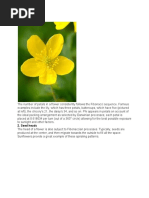 Fibonacci Sequence in Nature and Galaxies | PDF | Milky Way | Galaxy