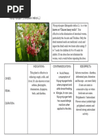 Lubby Santa | PDF | Horticulture And Gardening | Plants