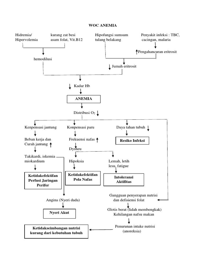 Woc Anemia | PDF