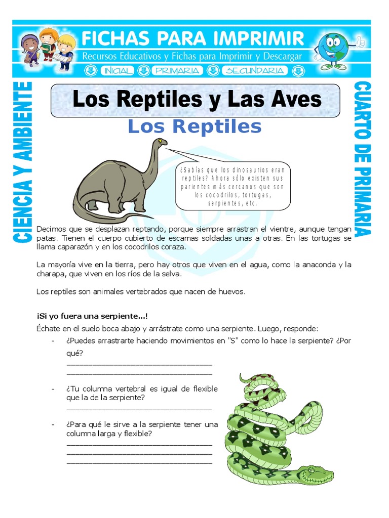 26 Ficha Los Reptiles y Las Aves para Cuarto de Primaria | PDF ...