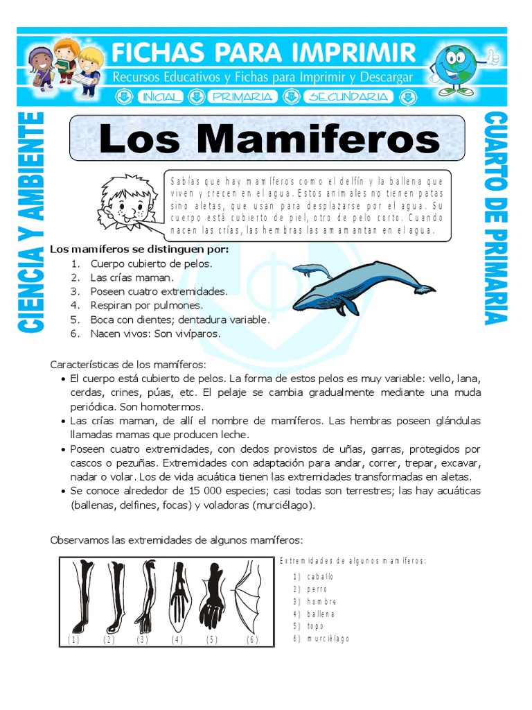 27 Ficha Los Mamiferos para Cuarto de Primaria | PDF | Mamíferos ...
